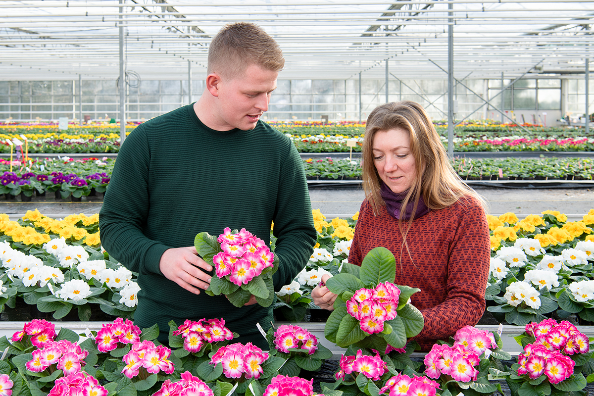 Schoneveld Breeding Norway | Motimate Customer Stories